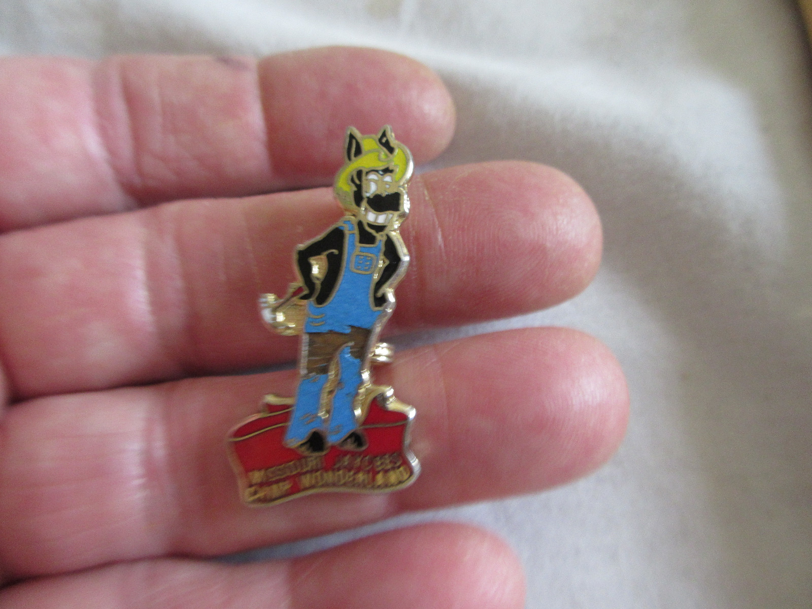 Vintage Dressed Donkey, Camp Wonderland, Missouri, pinback, pin, lapel ...