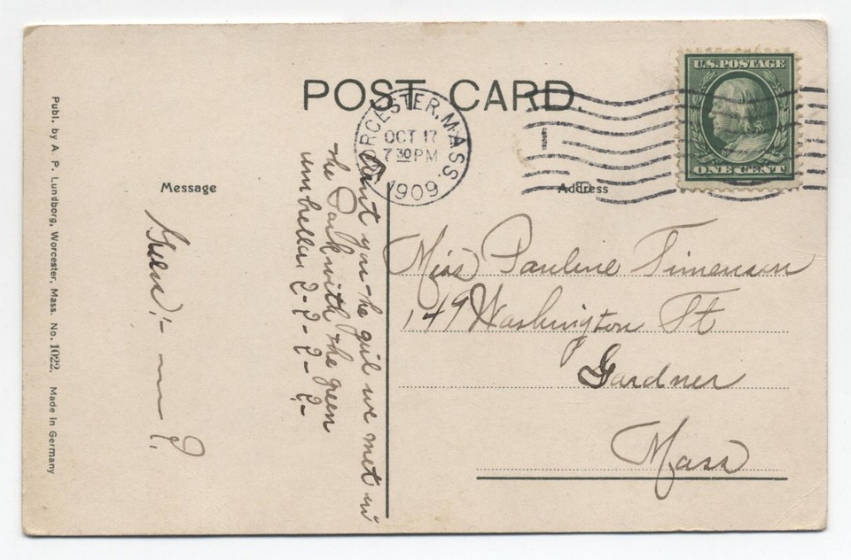 MA ~ Elephant Tree WORCESTER Massachusetts 1909 Postcard ~ Local ...