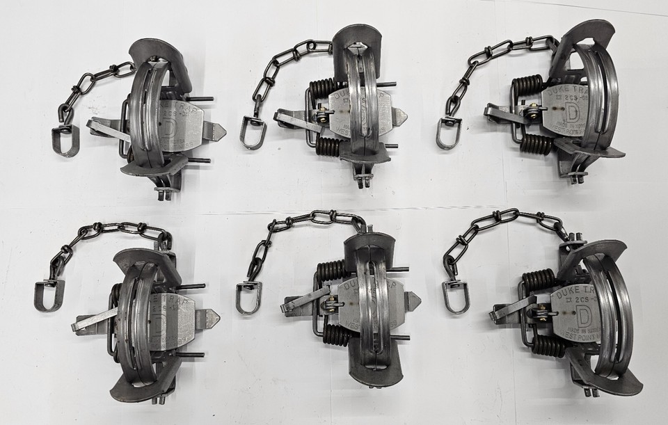 Duke # 2 Coil Spring Traps Chose Size & Quantity Coyote Bobcat Fox Lynx ...