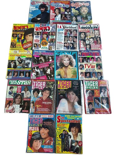 Vintage 70s Teen Magazines Rona Barrett, Tiger Beat, Hollywood Gossip ...