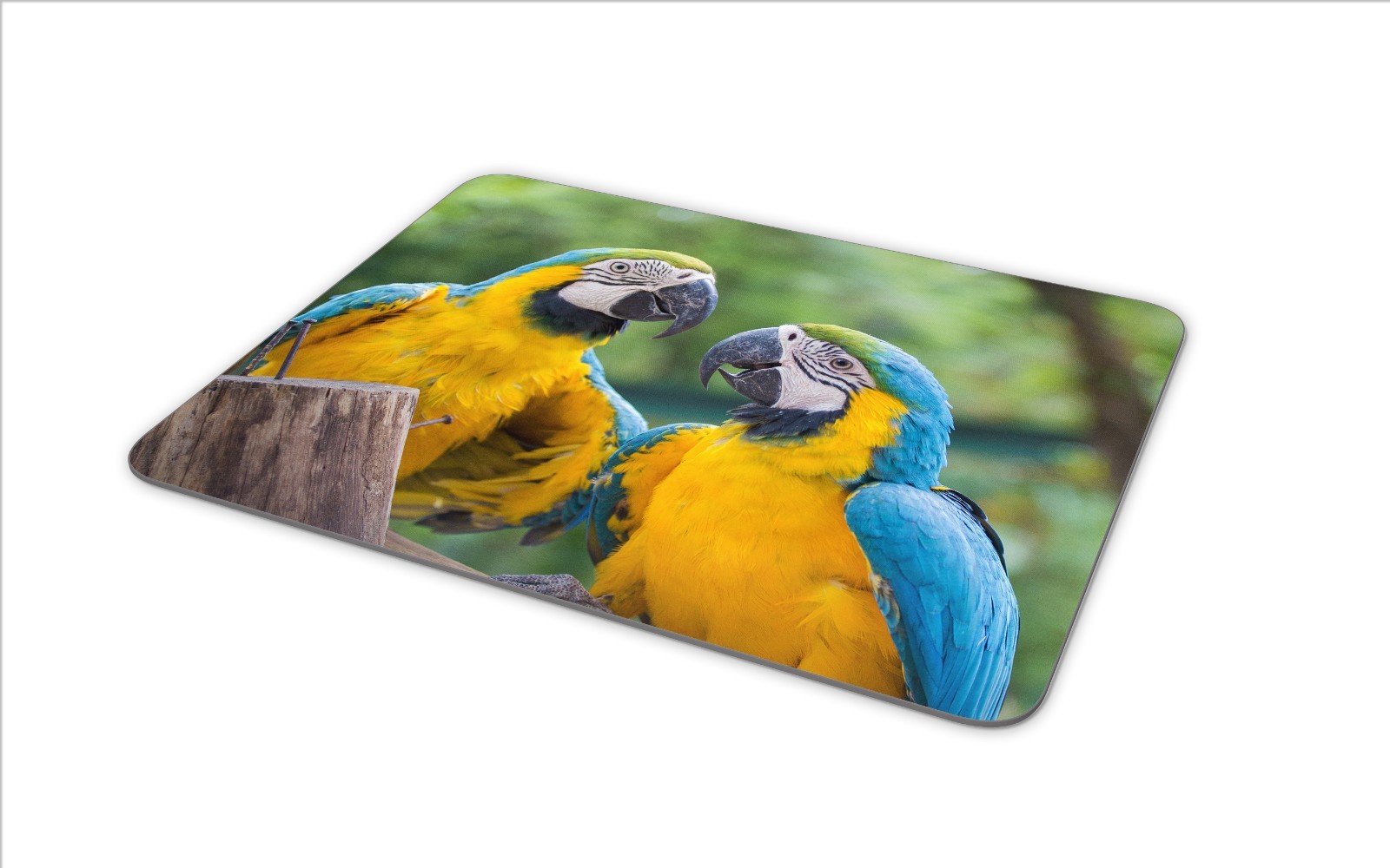 Macaw Birds Mouse Mat Pad - Parrot Tropical Bird Parot Gift PC Computer ...