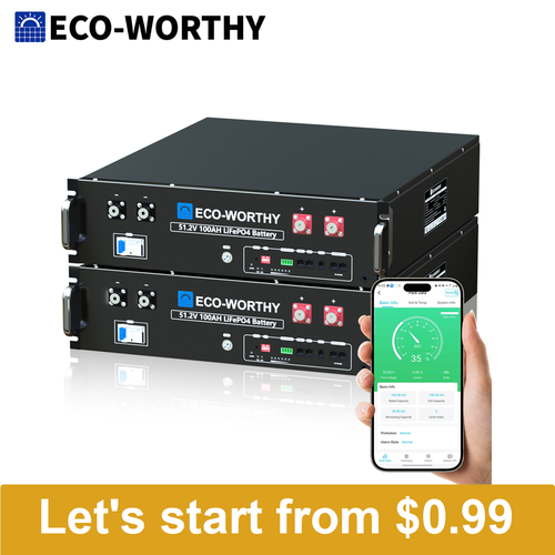 ECO-WORTHY 2Pack 48V 100Ah 10.24KWh LiFePO4 Lithium Battery 3U Size ...