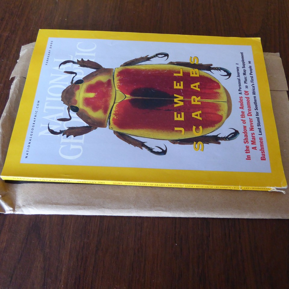 2001 Lot 2 NATIONAL GEOGRAPHIC Magazine: Scarabs, Extreme Africa | eBay