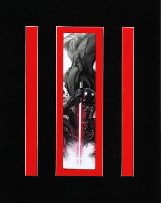 Star Wars DARTH VADER PRINT PROFESSIONALLY MATTED DC Alex Ross | eBay