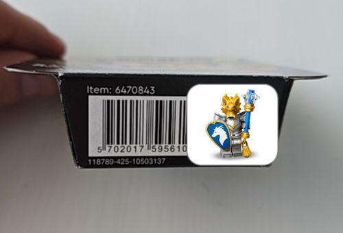 LEGO Dragonborn Paladin 71047 New, sealed box | eBay UK