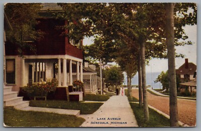 Rosedale MI Lake Avenue View Michigan Sylvan Lake c1920s Postcard | eBay
