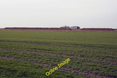 Photo 12x8 A wall of sugar beet nearby the Babingley River Wolferton ...