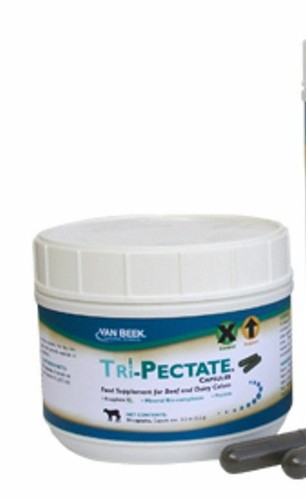Tri Pectate Capsule 50 Count Feed Supplement for Beef Dairy Cattle ...