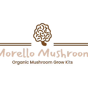Morello Mushroom | eBay Stores
