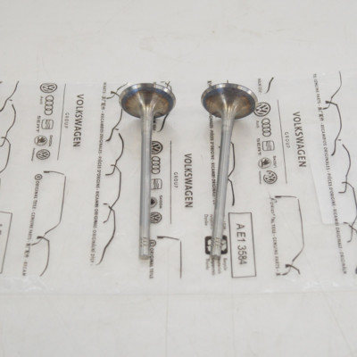 NEW AUDI A3 8V INTAKE VALVES 06L109601 OEM NO IMPORT DUTIES TO 🇺🇸 | eBay