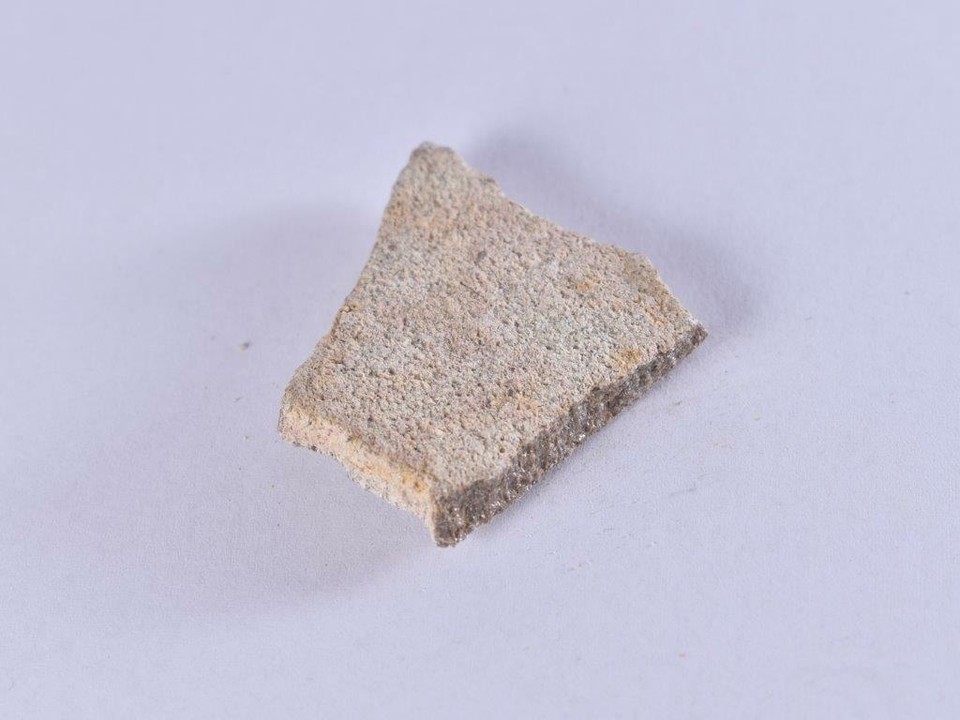 Large Real Fossil Dinosaur Egg Shell, Saltasaurus Titanosaurus Egg, A ...