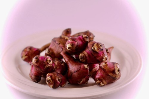 SunfRoots™, JERUSALEM ARTICHOKE SEEDS, RED FUSEAU SUNCHOKES (Helianthus ...
