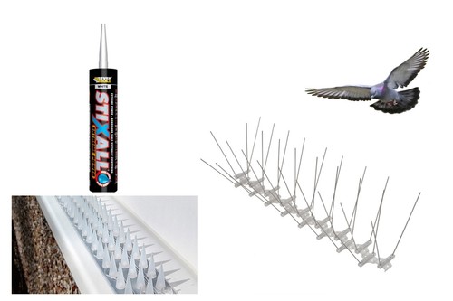 Fence Wall Spikes Anti Climb Guard Security Spike Cat Bird Repellent ...