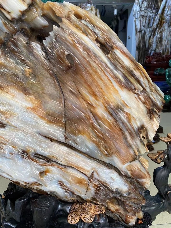 286LB TOP Natural Petrified wood quartz carved crystal Mineral specimen ...