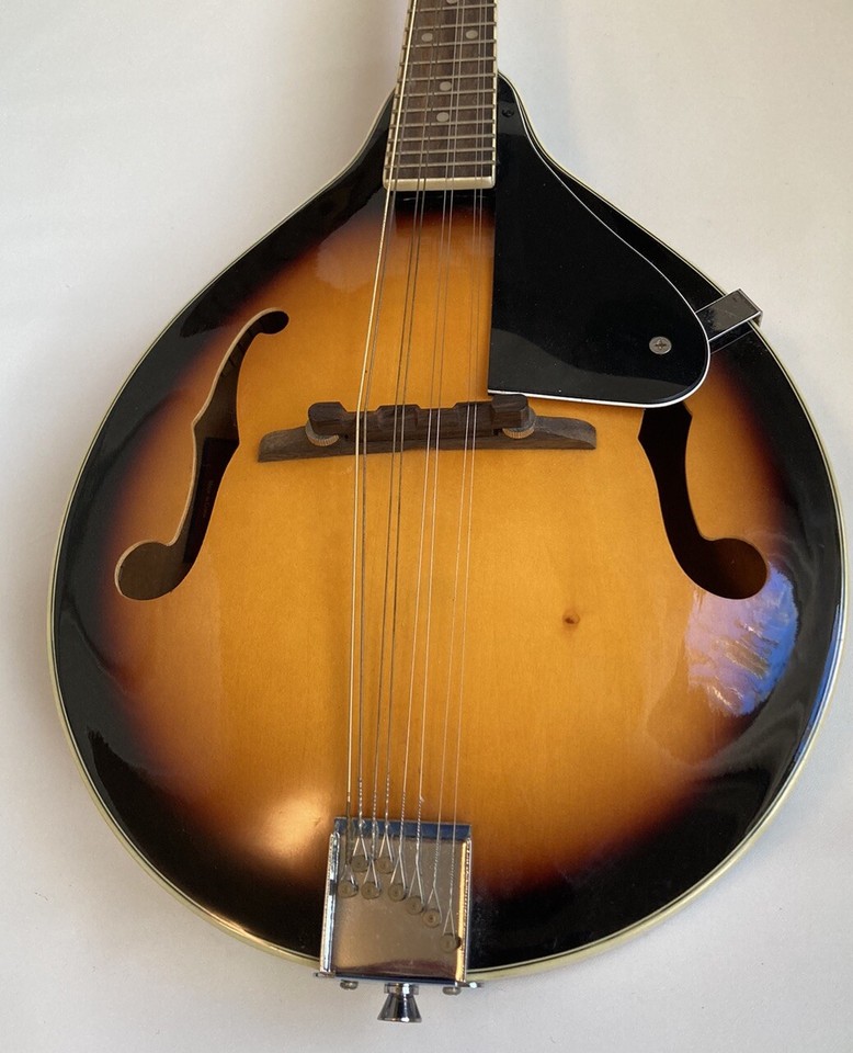 Rogue Fine Instruments RM-100A A-Style Mandolin Sunburst EUC | eBay
