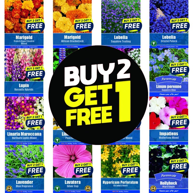 Flower Seeds Bedding Flowers Mixed - 215 Seeds Garden Plant Seed ...