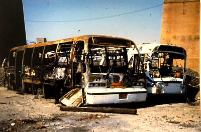 5x7 COLOR PHOTO NYC BUS 1983 GM-RTS #3293, BLITZ #5304 WALNUT SCRAP ...