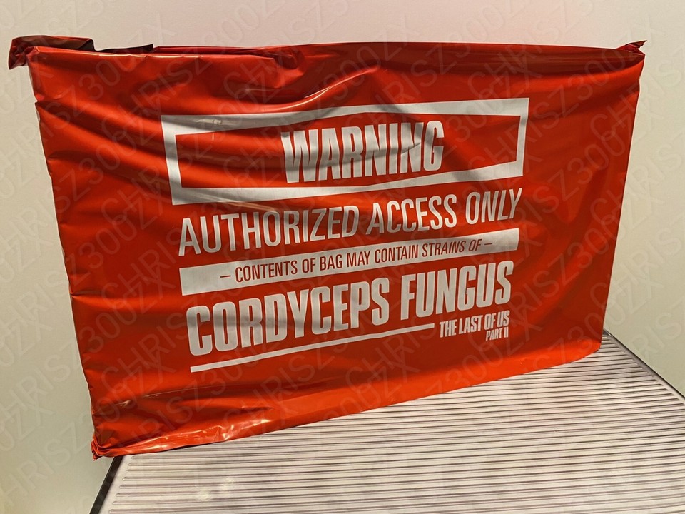 The Last of us Part II 2 Ellie Abby Collector's Edition Notebook ...