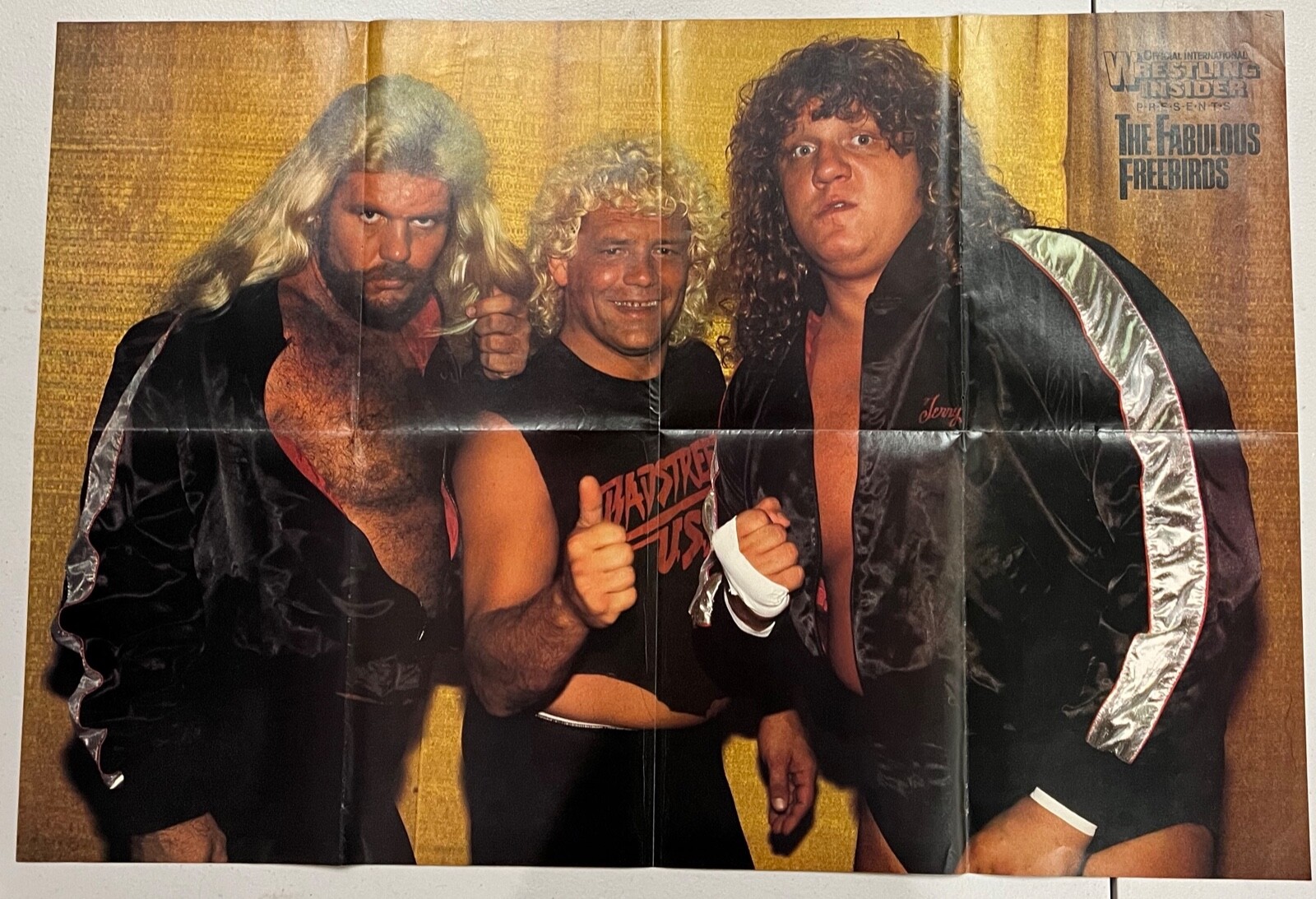 Four Horsemen Fabulous Freebirds 21x32 1980s Pro Wrestling Poster Ric ...