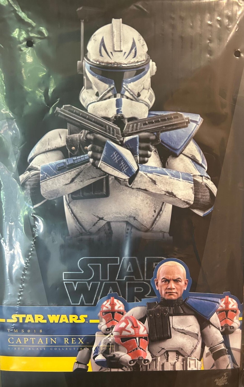 Hot Toys Star Wars The Clone Wars Captain Rex 1:6 Scale Figure (TMS018 ...