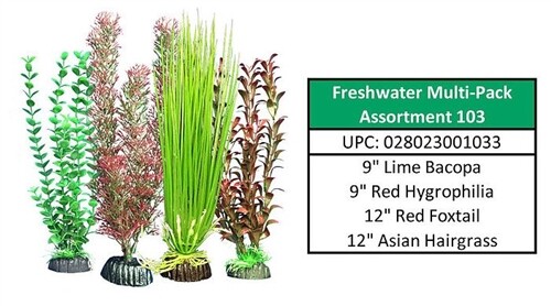 Freshwater Plant Multipack Assortment For Fish Tank Aquarium 2 | eBay