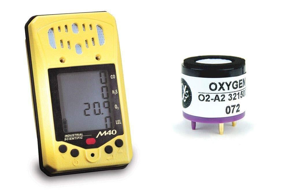 O2-A2 Oxygen Sensor Compatible with BW Technologies | eBay