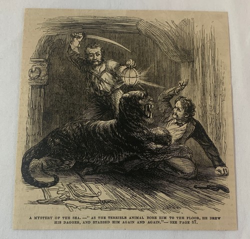 1880 magazine engraving ~ BATTLING A MONSTER BELOW DECK at sea | eBay