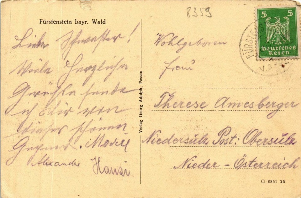 CPA AK Furstenstein - Town Scene - Bayr. Wald GERMANY (859236) | eBay