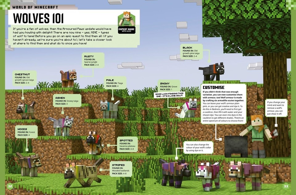 Minecraft Annual 2026:The new official fully illustrated annual –BRAND ...