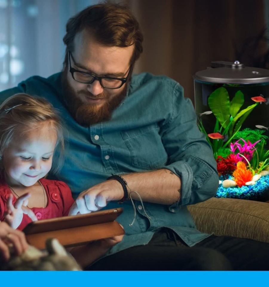 3-Gallon 360 Aquarium with LED Lighting and Power Filter for Tropical ...