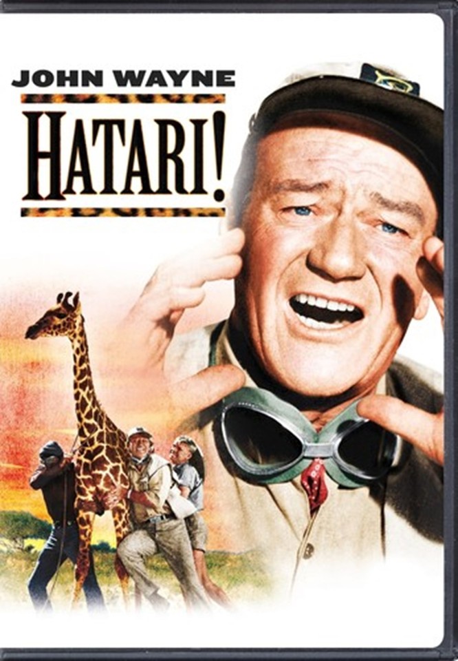 Hatari [DVD] 32429281470 | eBay