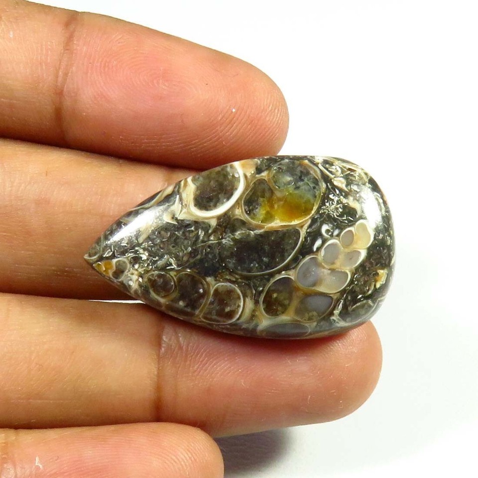 Natural Brown Turtella Gemstone 32x19 mm Turtella Smooth Pear Cabochon ...