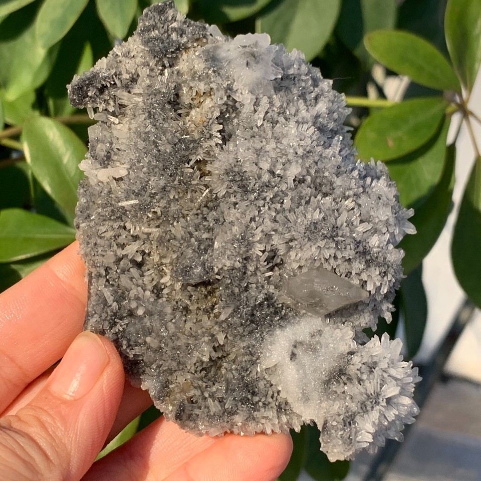 198g Natural chrysanthemum stone quartz crystal cluster mineral ...