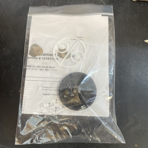 Thermo Fisher Scientific 107751-00 Pump Rebuild Kit | eBay
