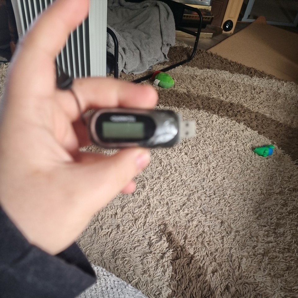 Technika 256MB MP3 Player | eBay