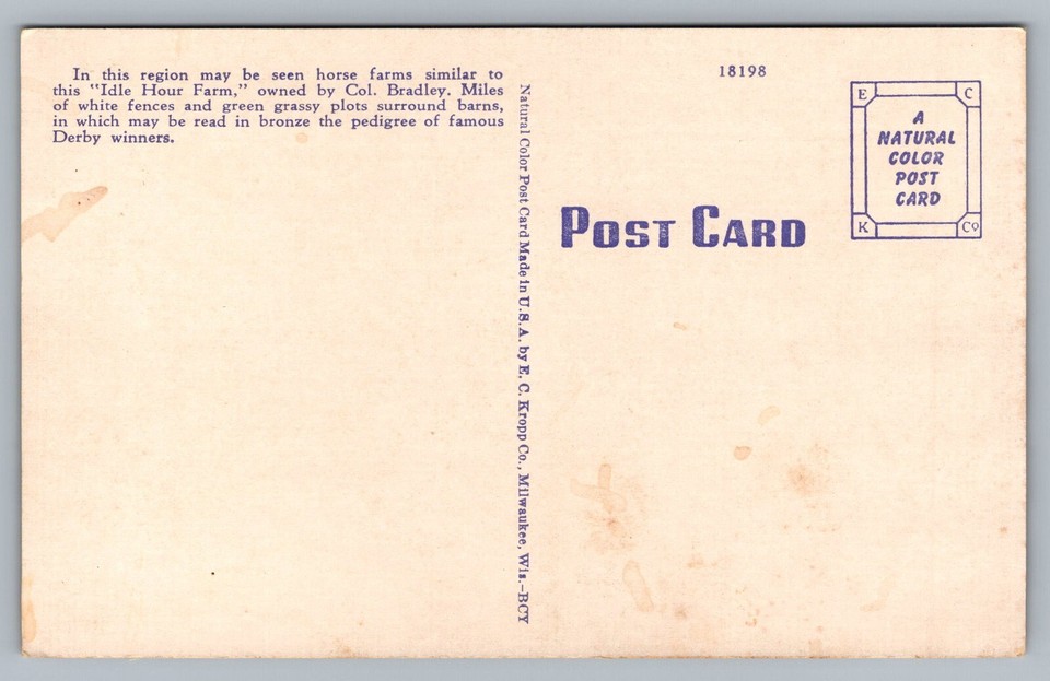 Postcard Typical Blue Grass Stock Farm, In Old Kentucky K53, Idle Hour ...