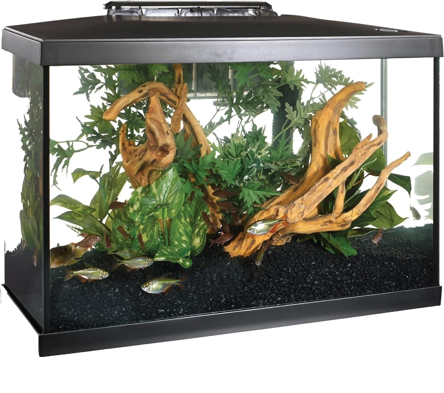 Aquariums & Tanks 10 gal. Tank Capacity for sale - eBay