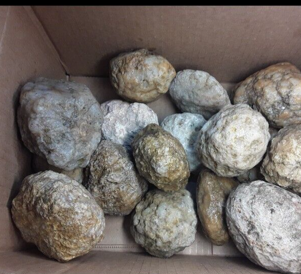 5 lbs Raw Kentucky Geodes - Solid & Semi-Solid Mix - Approve Before ...