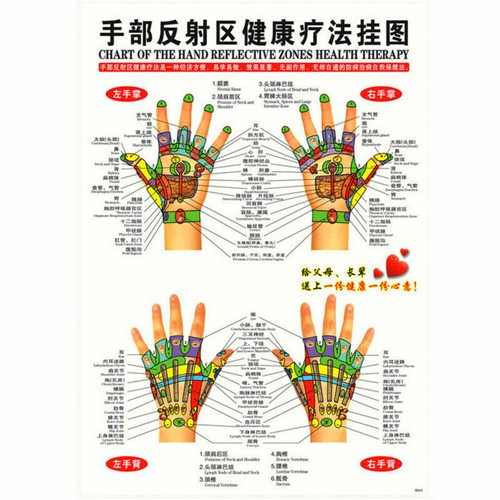 Whole body English Acupuncture Meridian Acupressure Points Poster 7张穴位图 ...