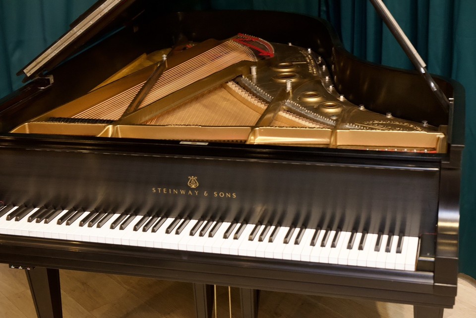 1925 Steinway Model A3 Grand Piano Fully Restored Action, Strings ...