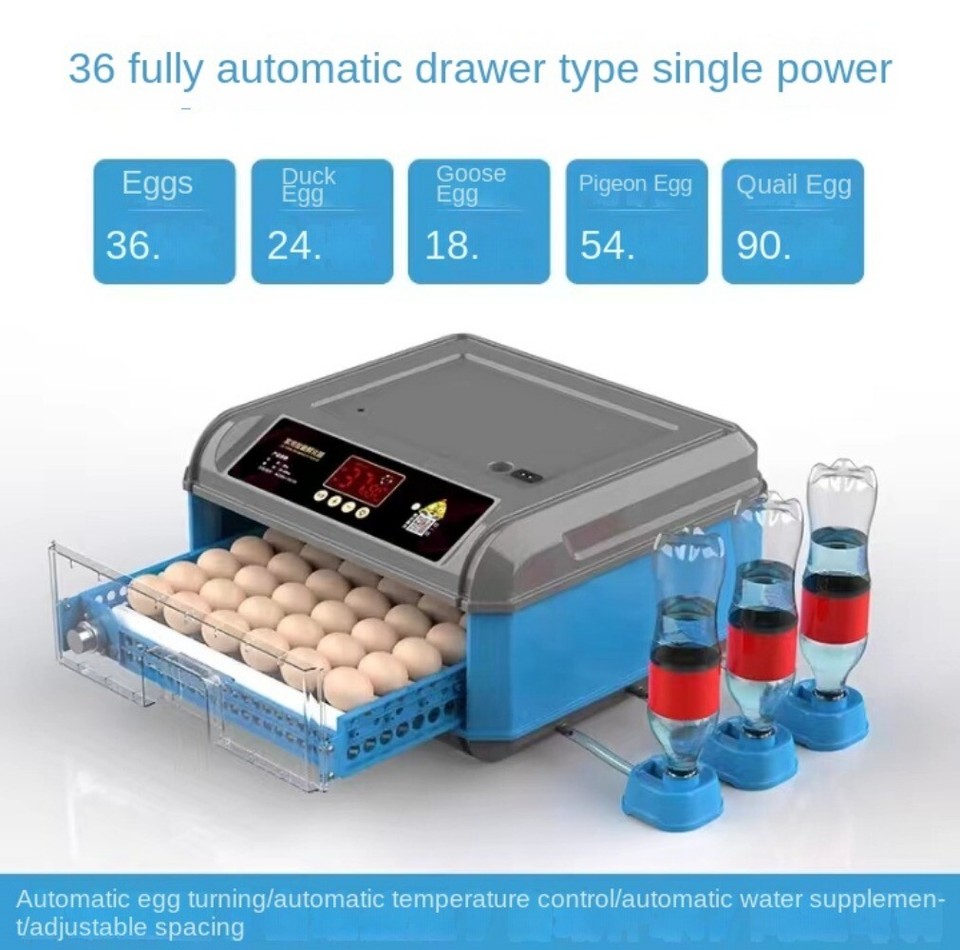 Fully Automatic Intelligent Breeding of Chicken Duck Goose Egg and Egg ...