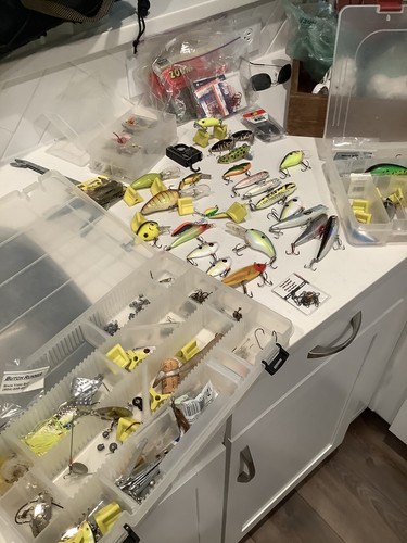 Fishing Lure Lot Jitter Bug Zara Spook Little Cleo Bass | eBay