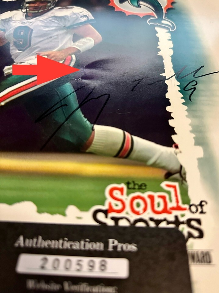 JAY FIEDLER MIAMI DOLPHINS QB AUTOGRAPHED SIGNED 12X11 POSTER PHOTO ...