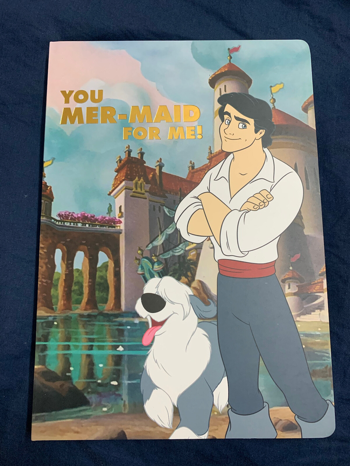 Oh My Disney Prince Notebooks: Prince Eric | eBay