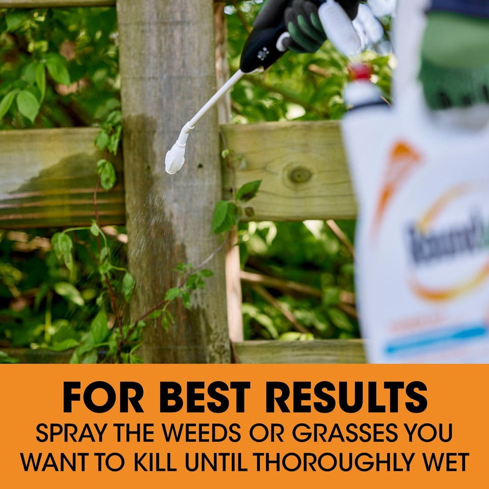 Roundup Poison Ivy Plus Tough Brush Killer2 with Comfort Wand, 1 gal ...