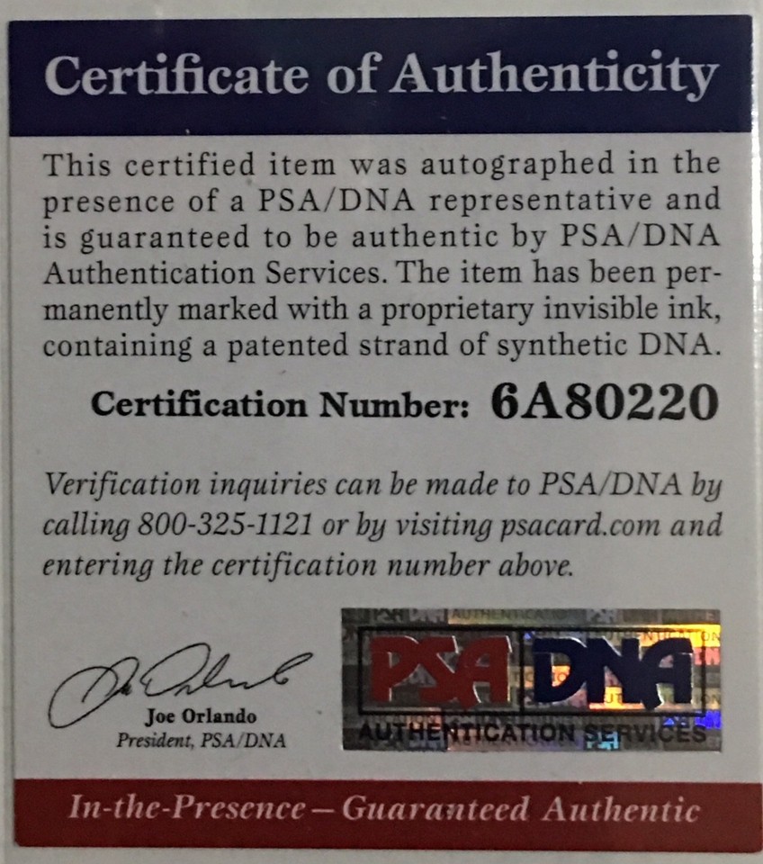 MEGAN FOX AUTOGRAPHED HAND SIGNED PSA-DNA 11 x 14 PHOTO *ITP* / IN THE ...