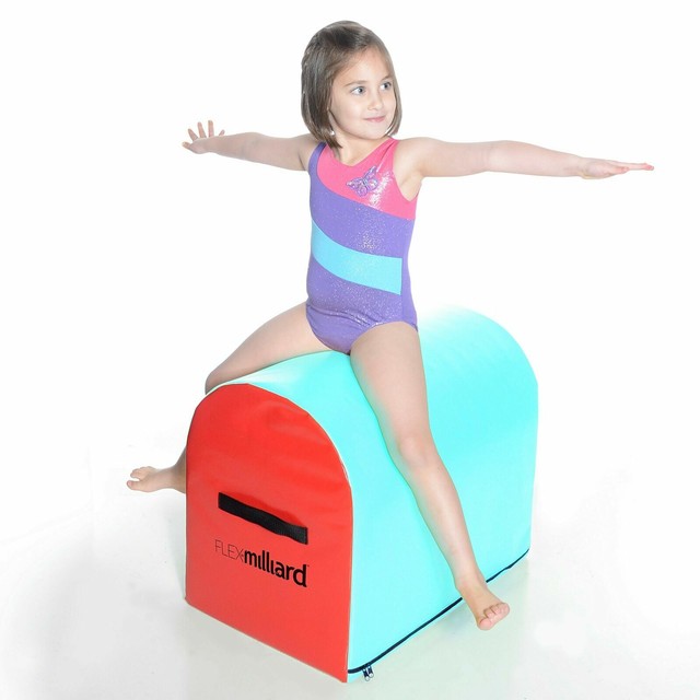 Milliard Gymnastics Mailbox Tumbling Aid Trainer Spotting Equipment ...