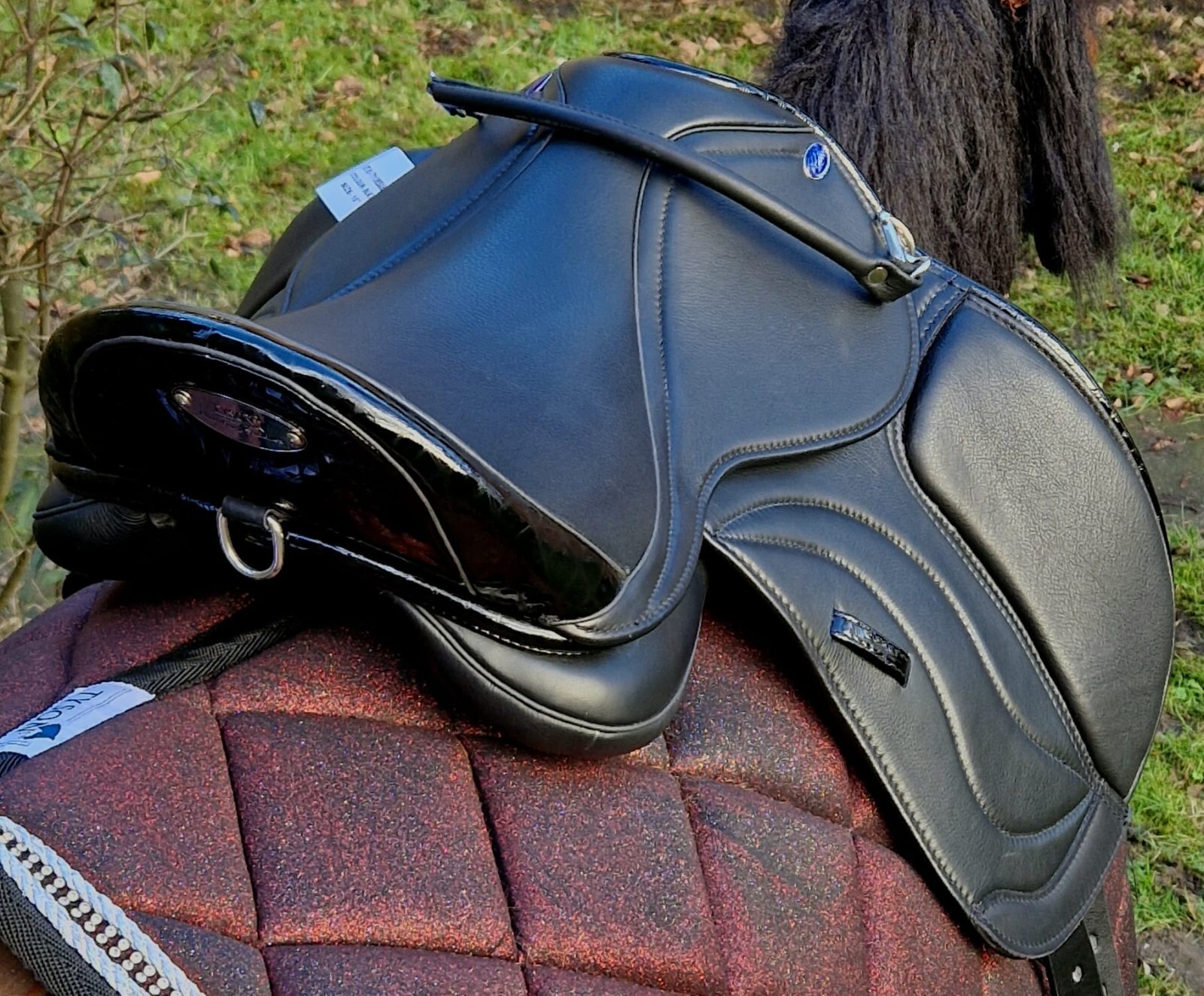 Ponysattel Leder Kopfeisen Shetty Welsh Sattel Leder Kroko Lack 14 15 Z ...