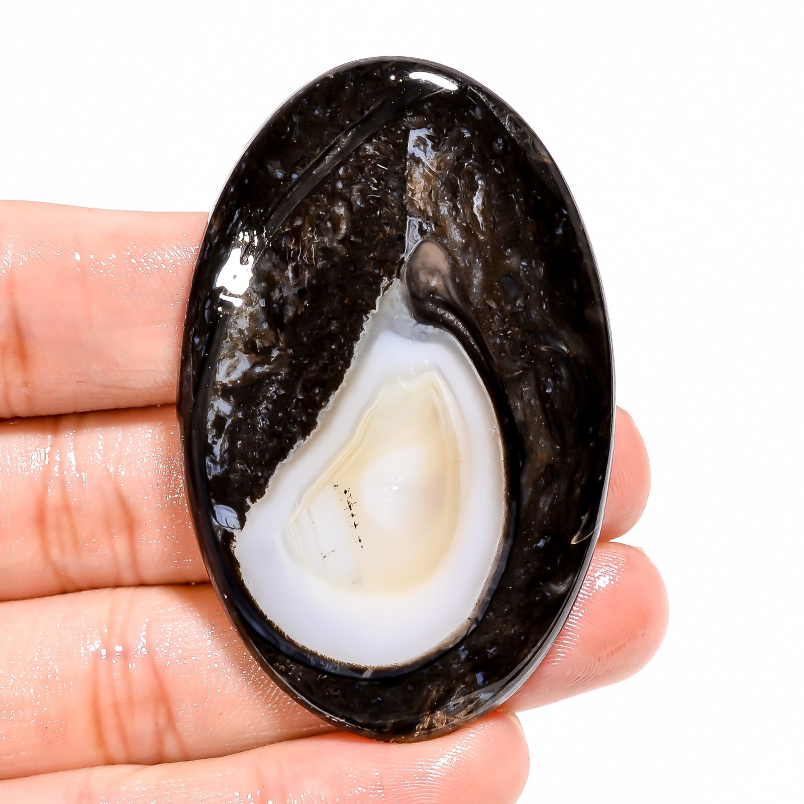 100% Natural Black Colus Fossil Gemstone OVAL Cabochon 107.45 CT ...