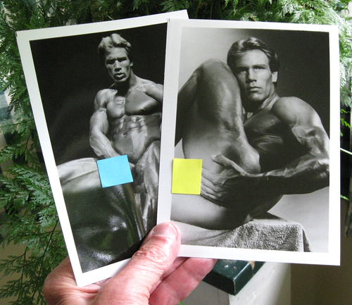 Pair Vintage Colt Studios Photos - Model - Mark Gamble - Beefcake Physique | eBay